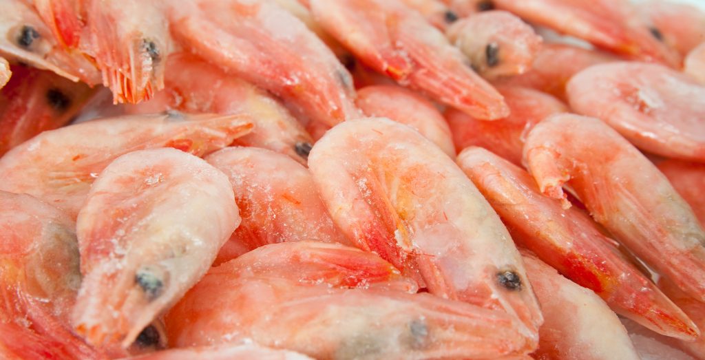 Cultivo y Exportación de Langostinos